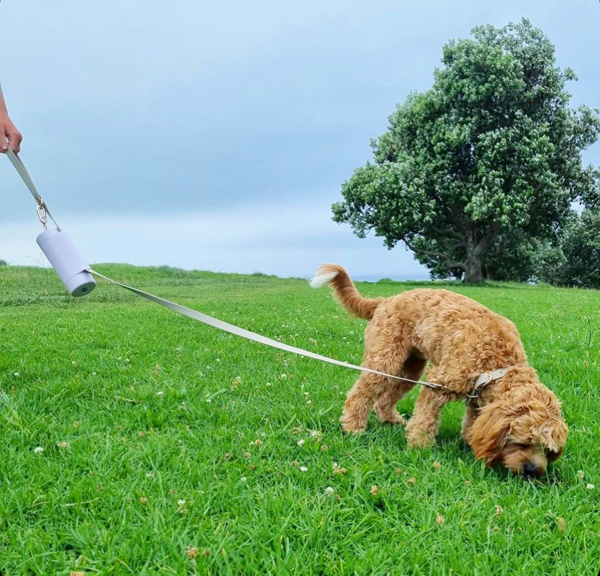 Whifti walks, Dog Poop Pod, Dog walk, Vegan Leather Lead and collars ...